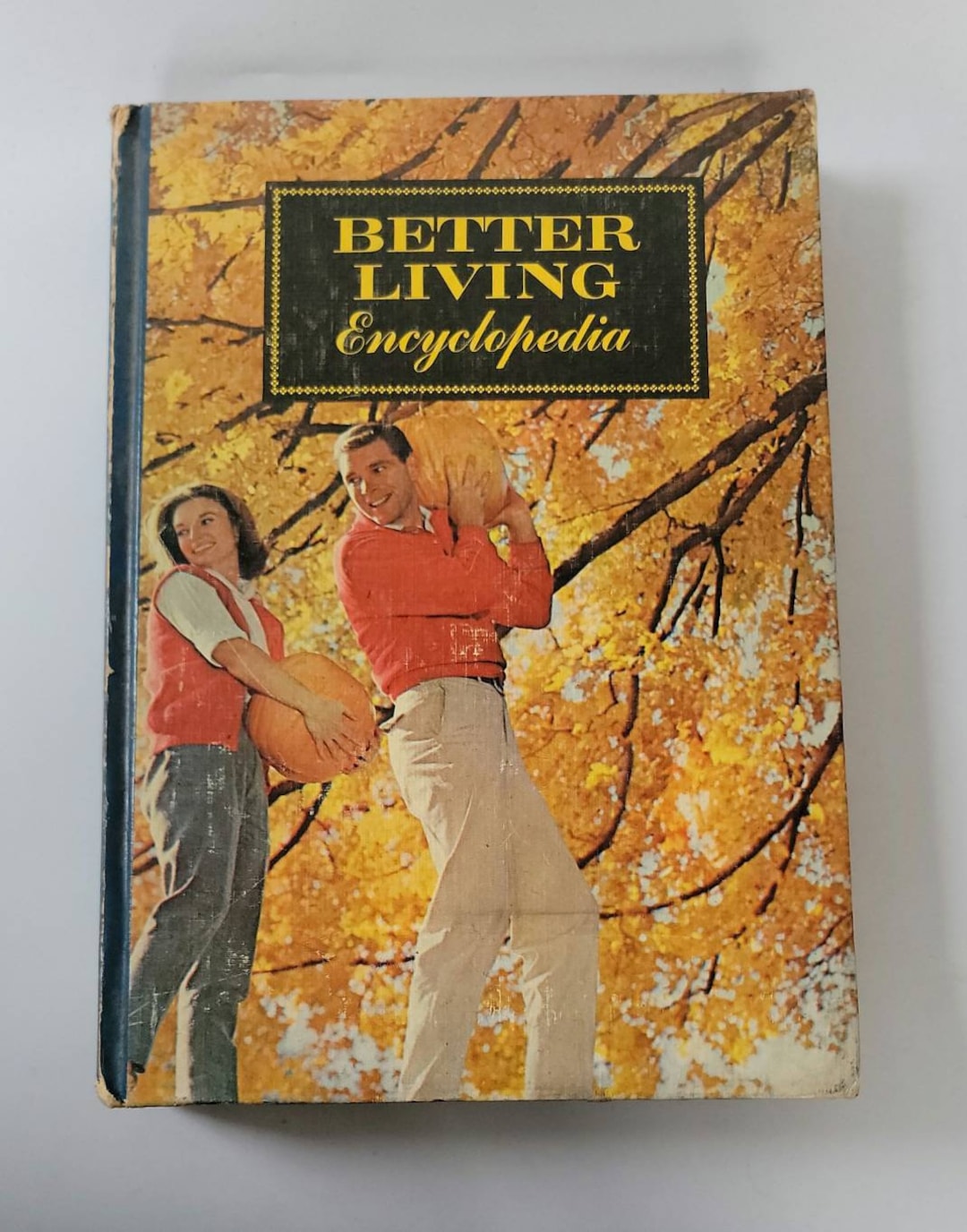 Better Living Encyclopedia 1966 - Vintage Hardcover - Classic Reading ...