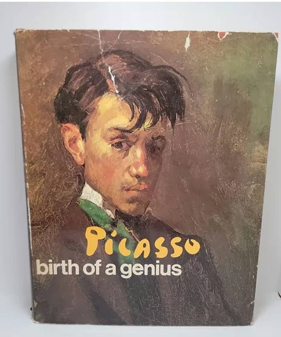 Picasso, Birth of a Genius Hardcover – January 1, 1972 by Juan Eduardo ...