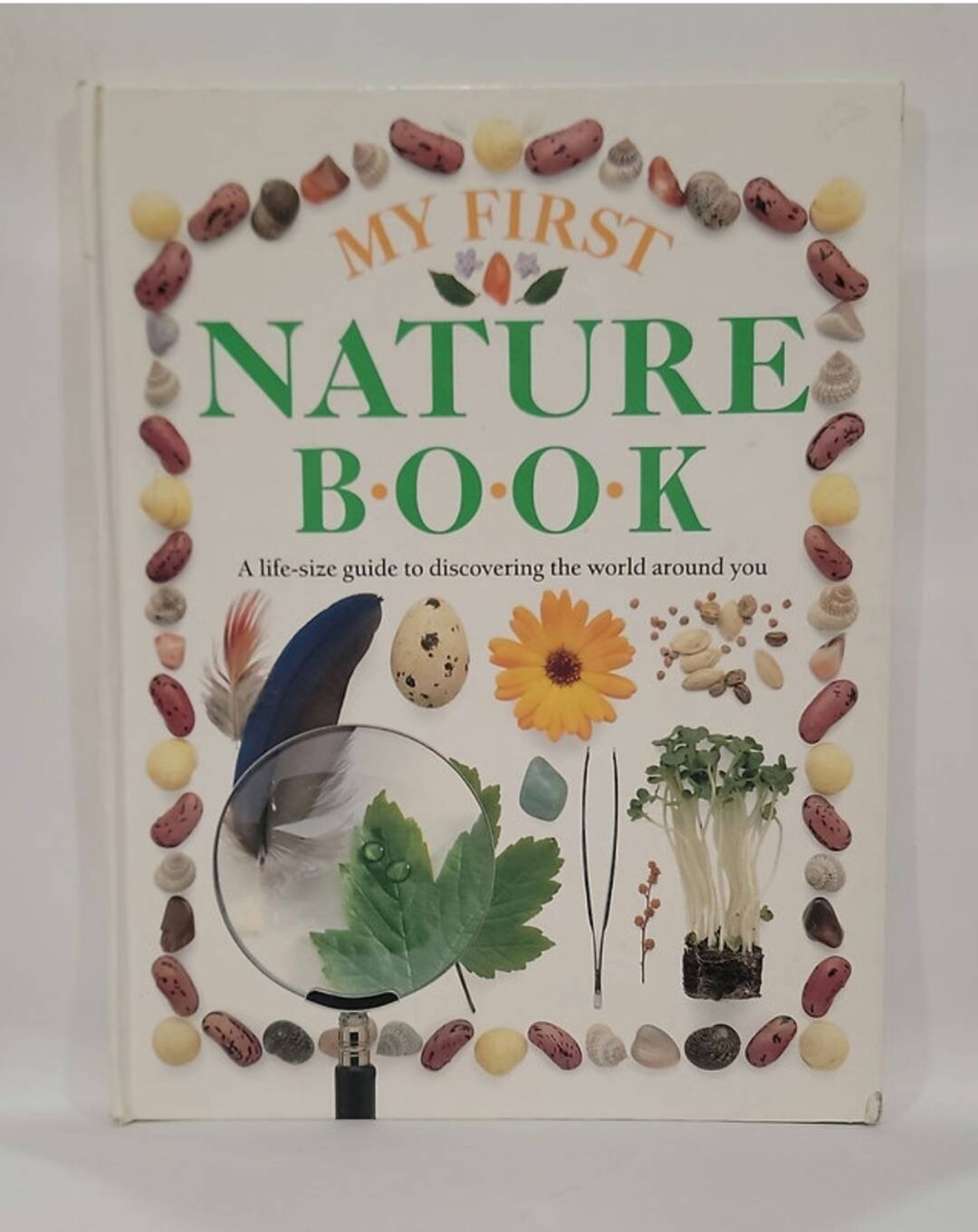 My First Nature Book by Alfred A. Knopf Rare Hard to Find - Vintage ...