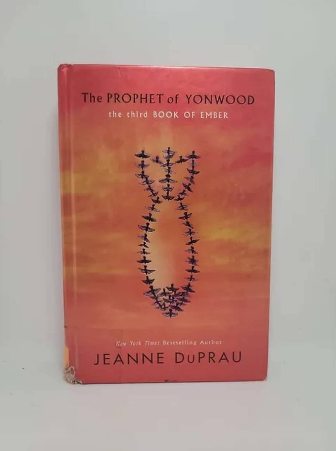 The Prophet of Yonwood by Jeanne Duprau Book of Ember #3 It’s 50 Years ...