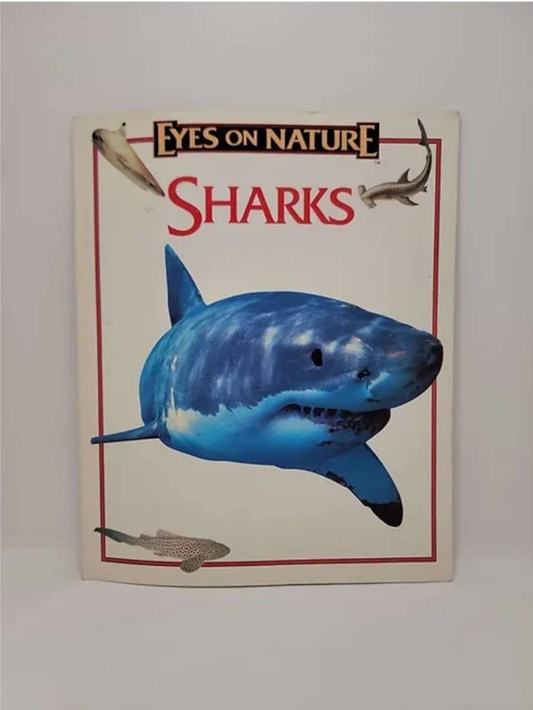 Sharks (eyes on Nature Series) Paperback – January 1, 1995 by Jane ...
