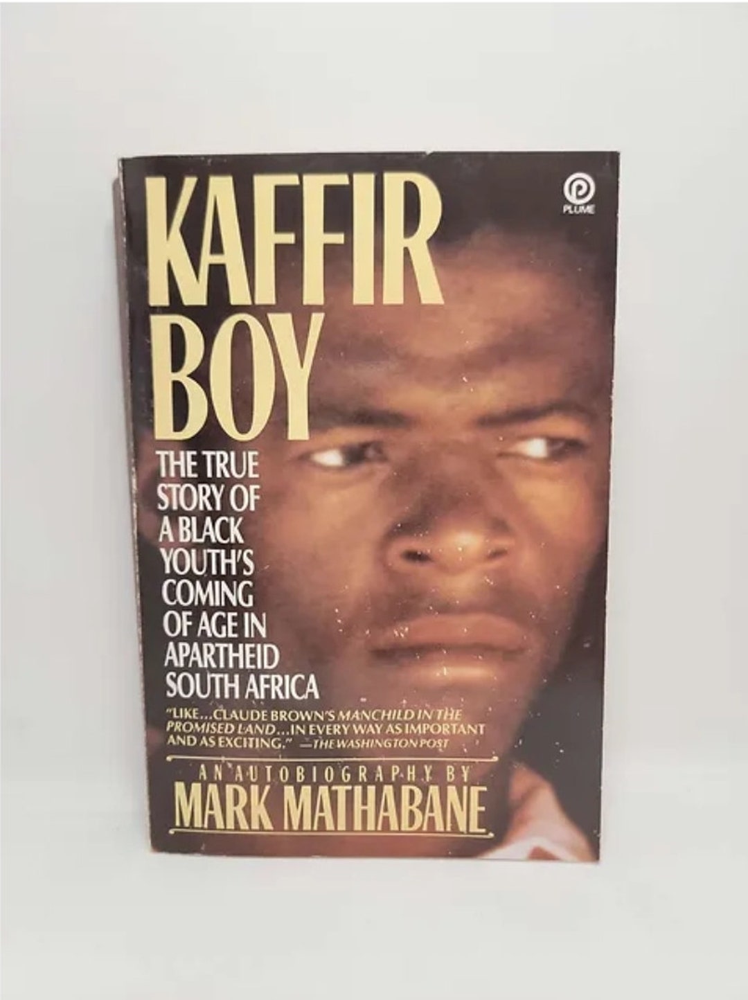 Kaffir Boy: the True Story of a Black Youth's Coming of Age in ...
