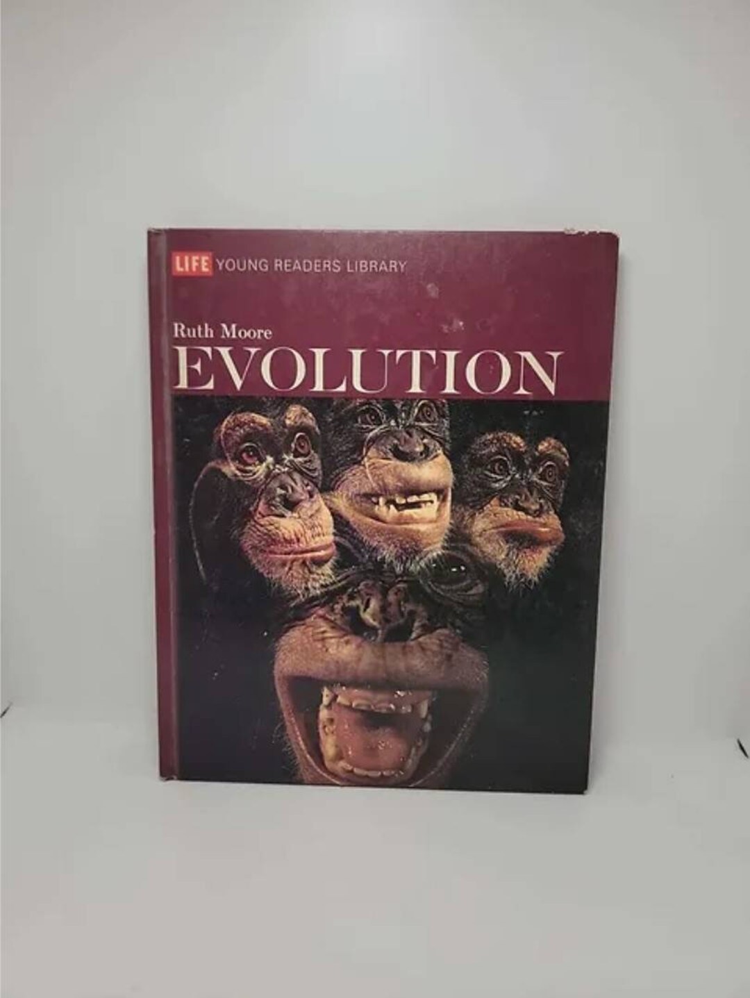 Evolution (young Readers Library) Hardcover – January 1, 1969 by Ruth ...