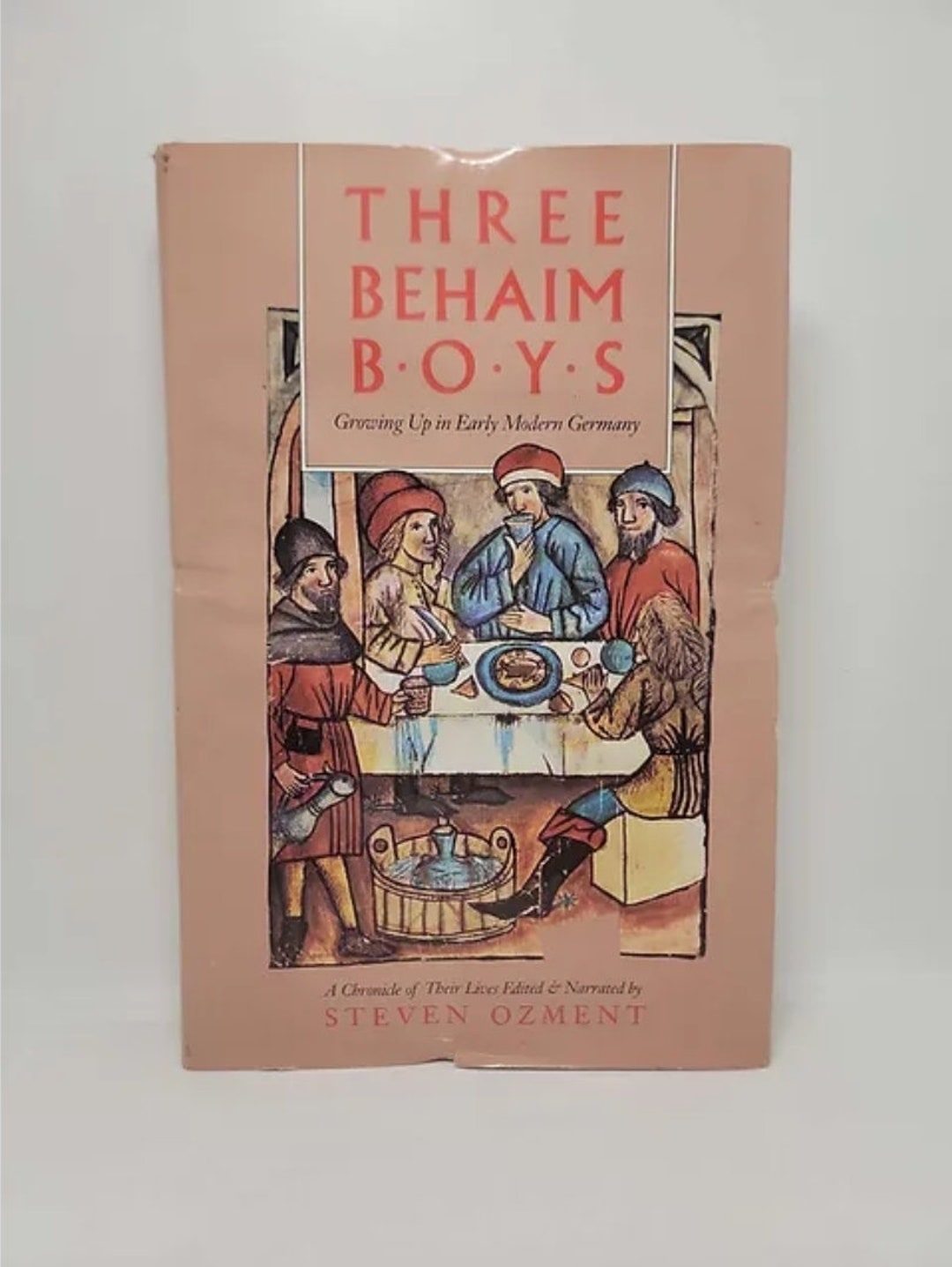 Three Beheim Boys: Growing up in Early Modern Germany Hardcover ...