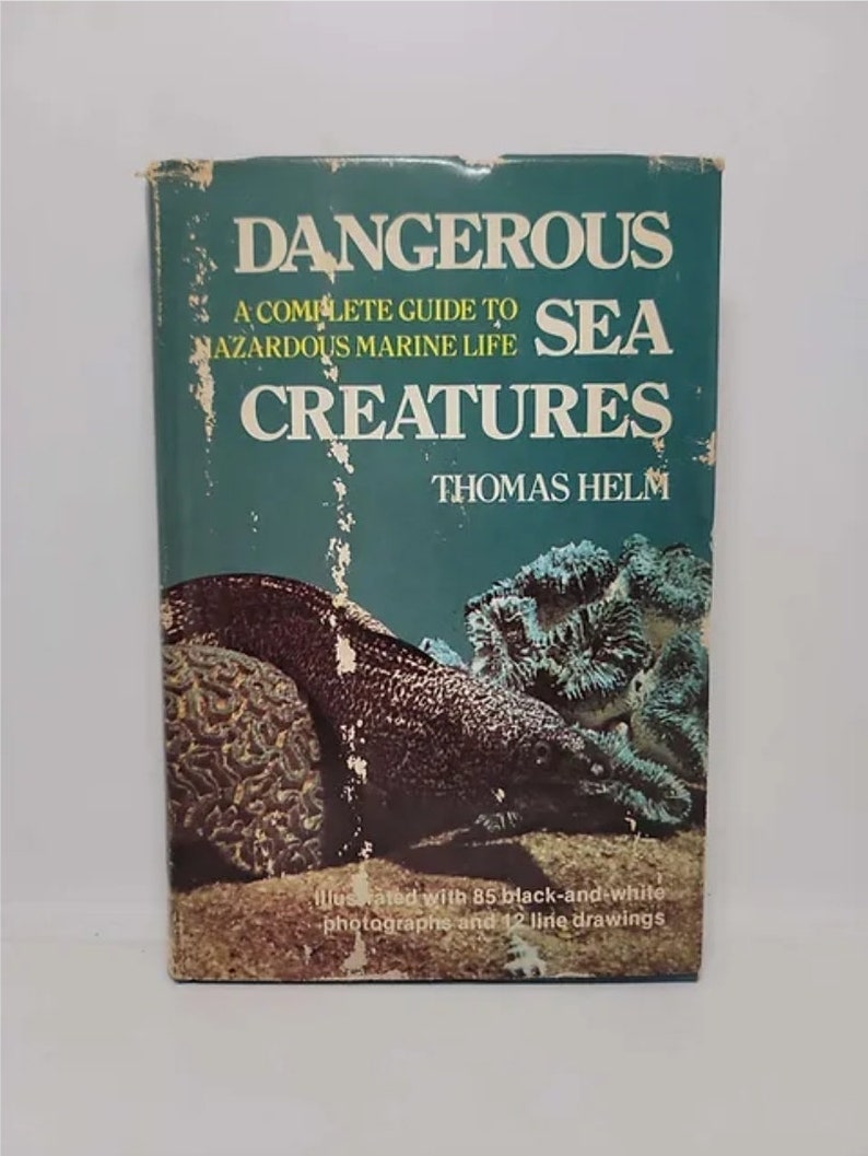 Dangerous Sea Creatures: A Complete Guide to Hazardous Marine Life ...