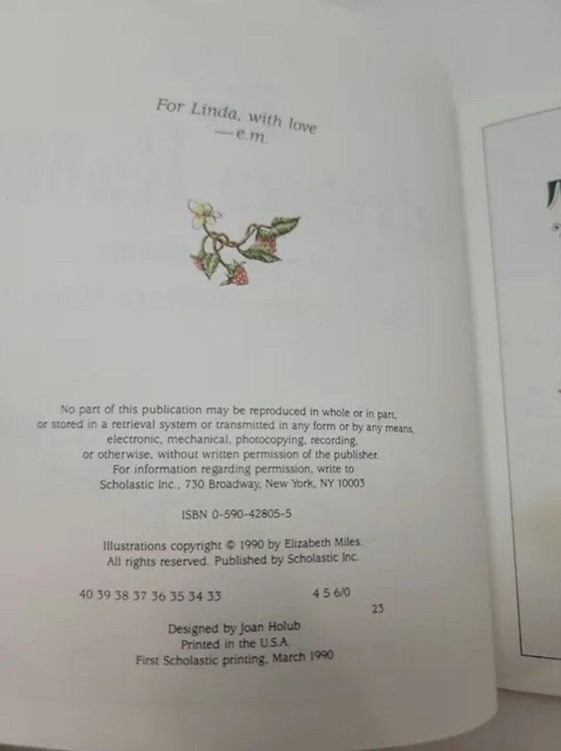 The Velveteen Rabbit: or How Toys Become Real (scholastic Books ...