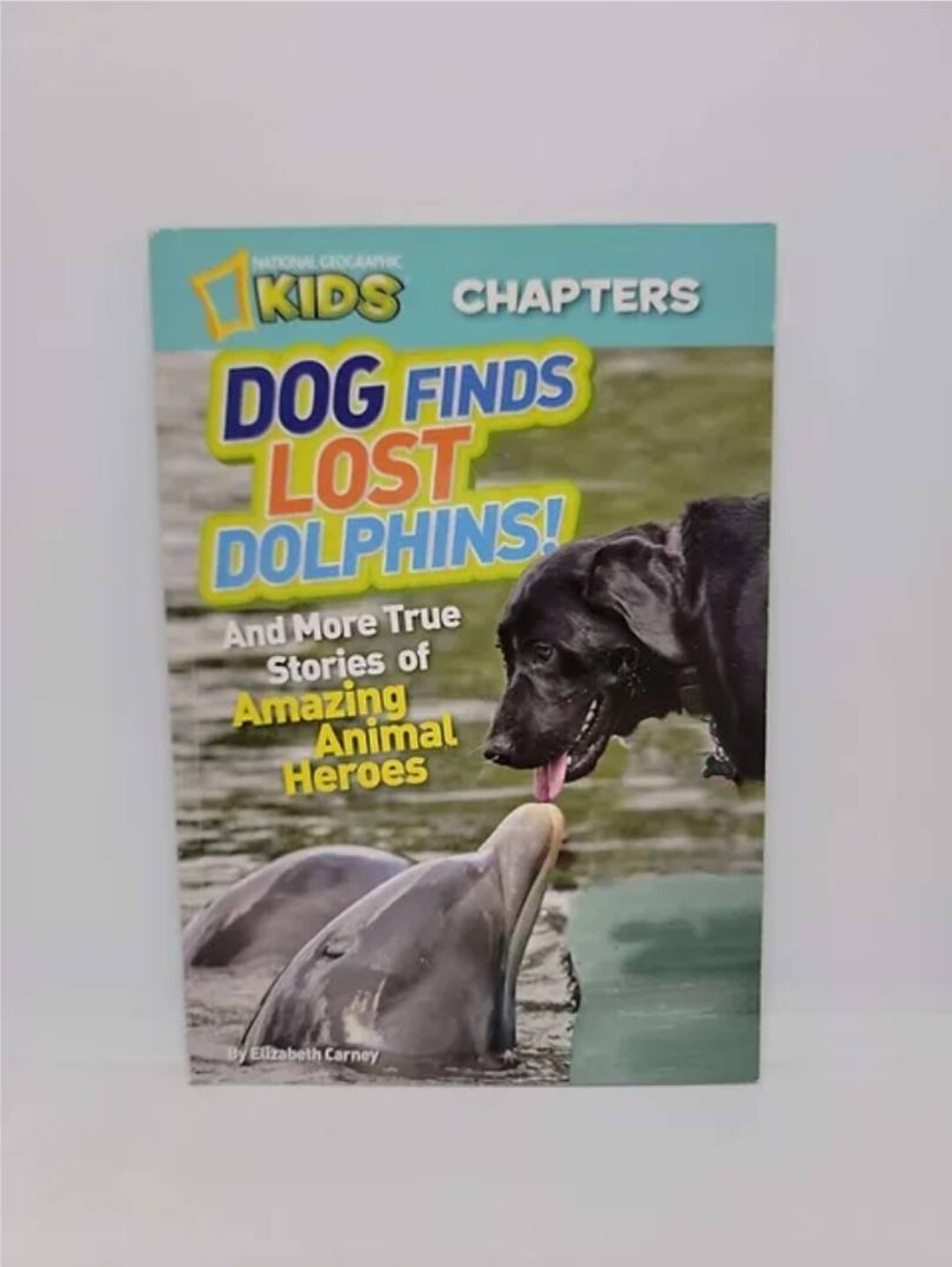 National Geographic Kids Chapters: Dog Finds Lost Dolphins and More ...