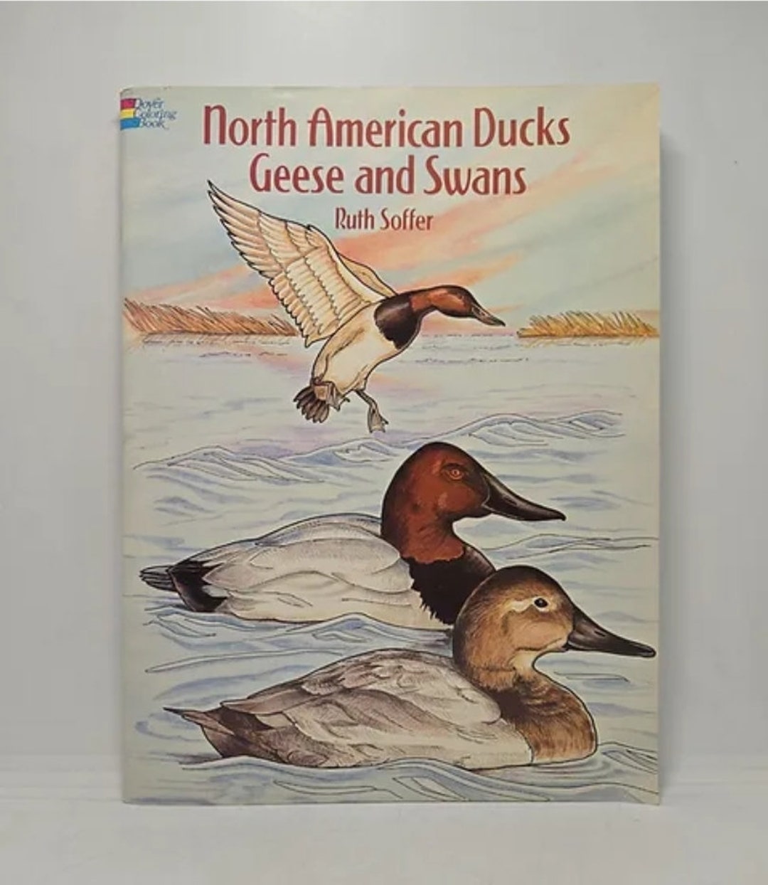 North American Ducks, Geese and Swans Coloring Book (dover Animal ...