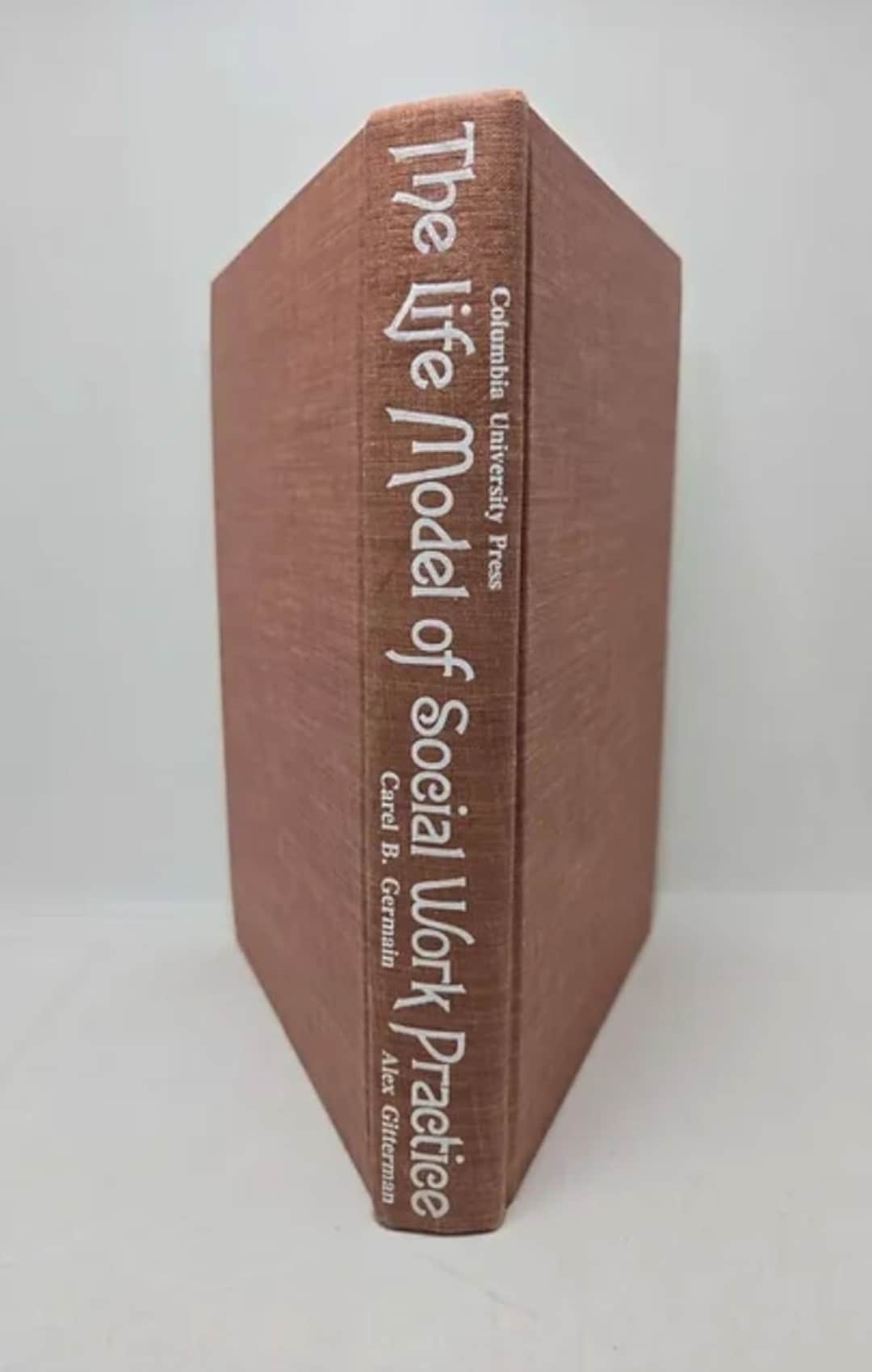 The Life Model of Social Work Practice by Carel B. Germain (author ...