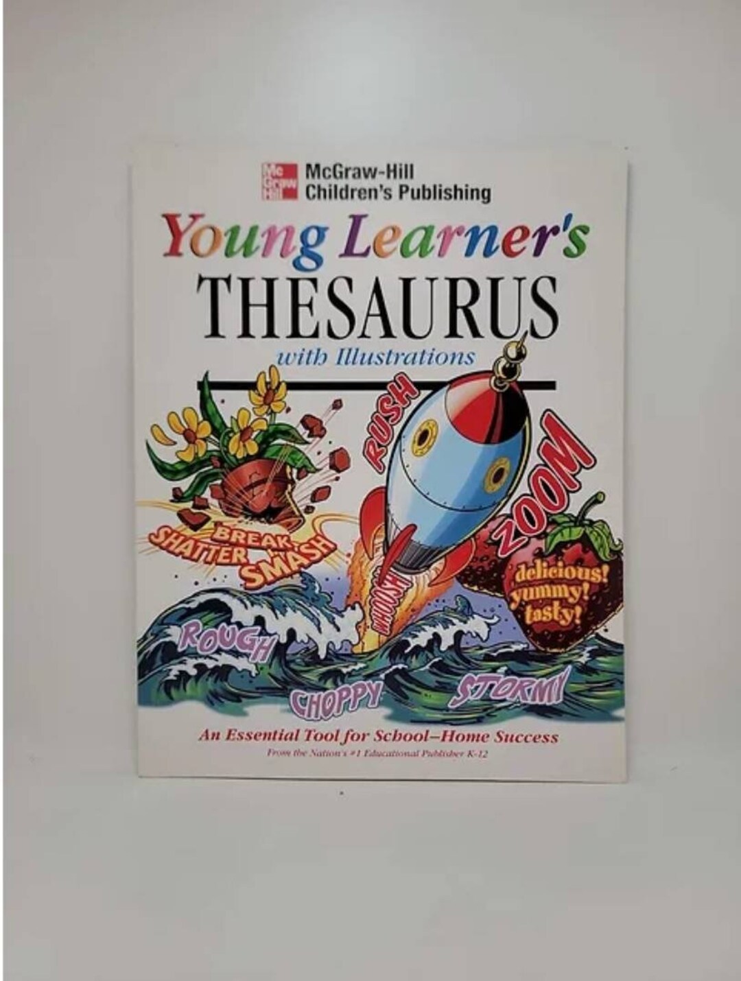 Young Learner's Thesaurus: With Illustrations Paperback - Etsy