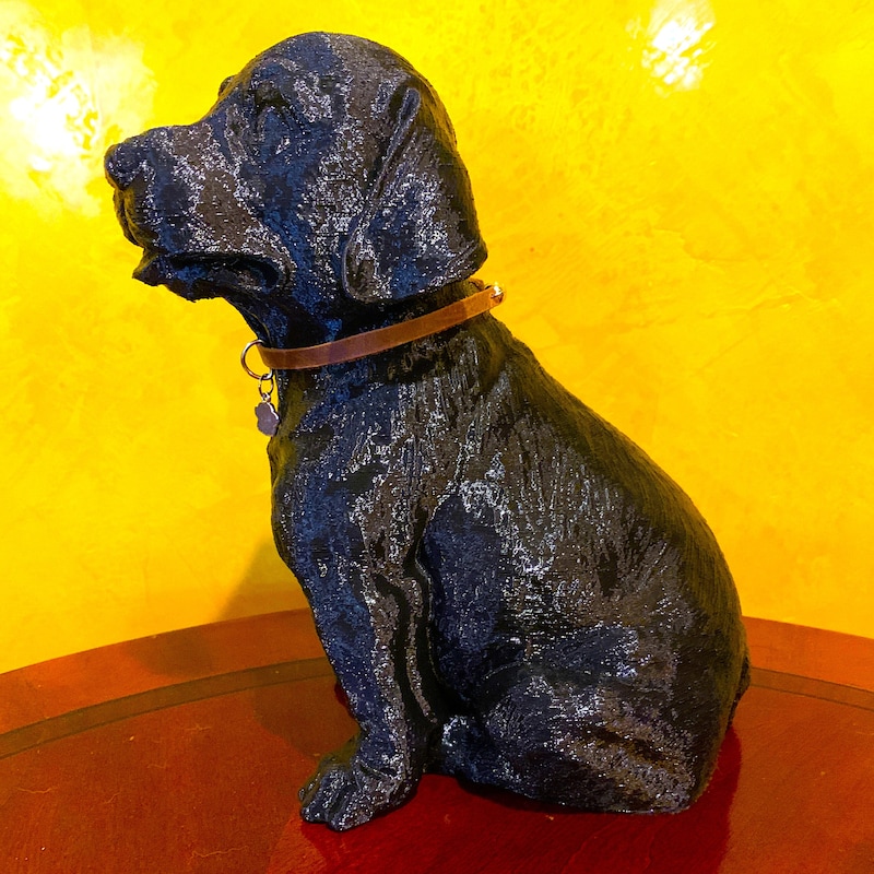 Dog Piggy Bank - Etsy