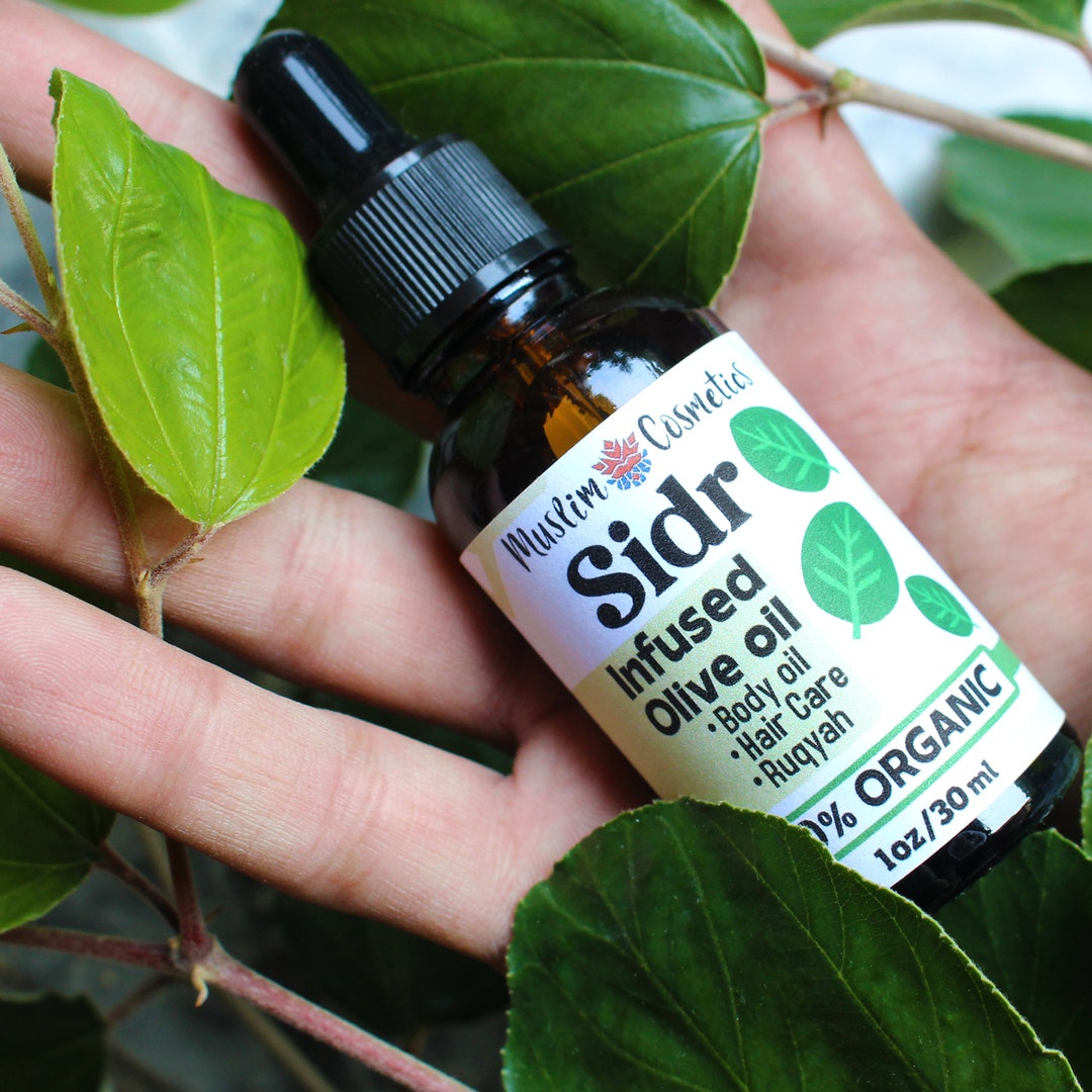 Organic Sidr Oil / Yemeni Sidr Leaf Infused in Olive Oil / for Hair ...