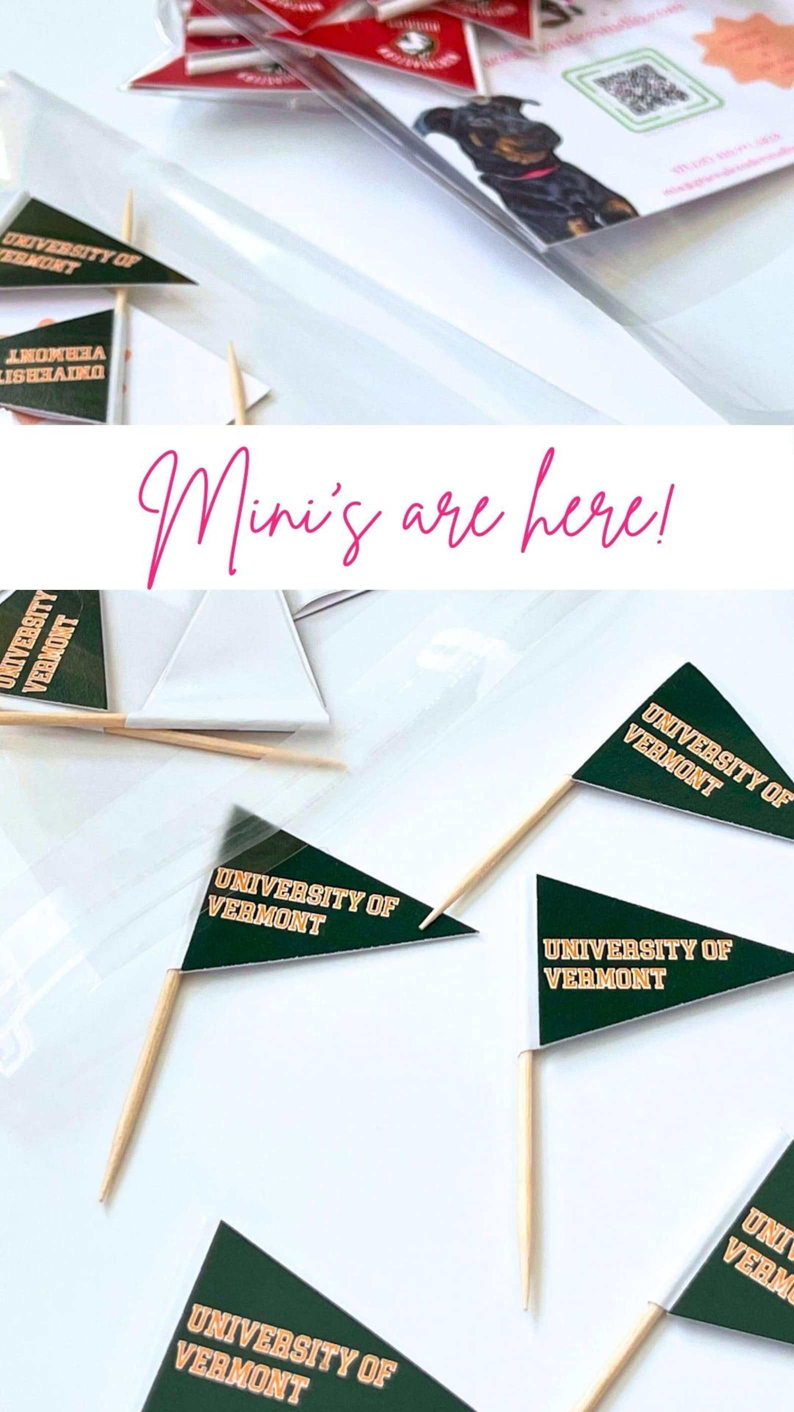 Mini Dozen College Bound Flag Cupcake Toppers, Custom Pennant ...