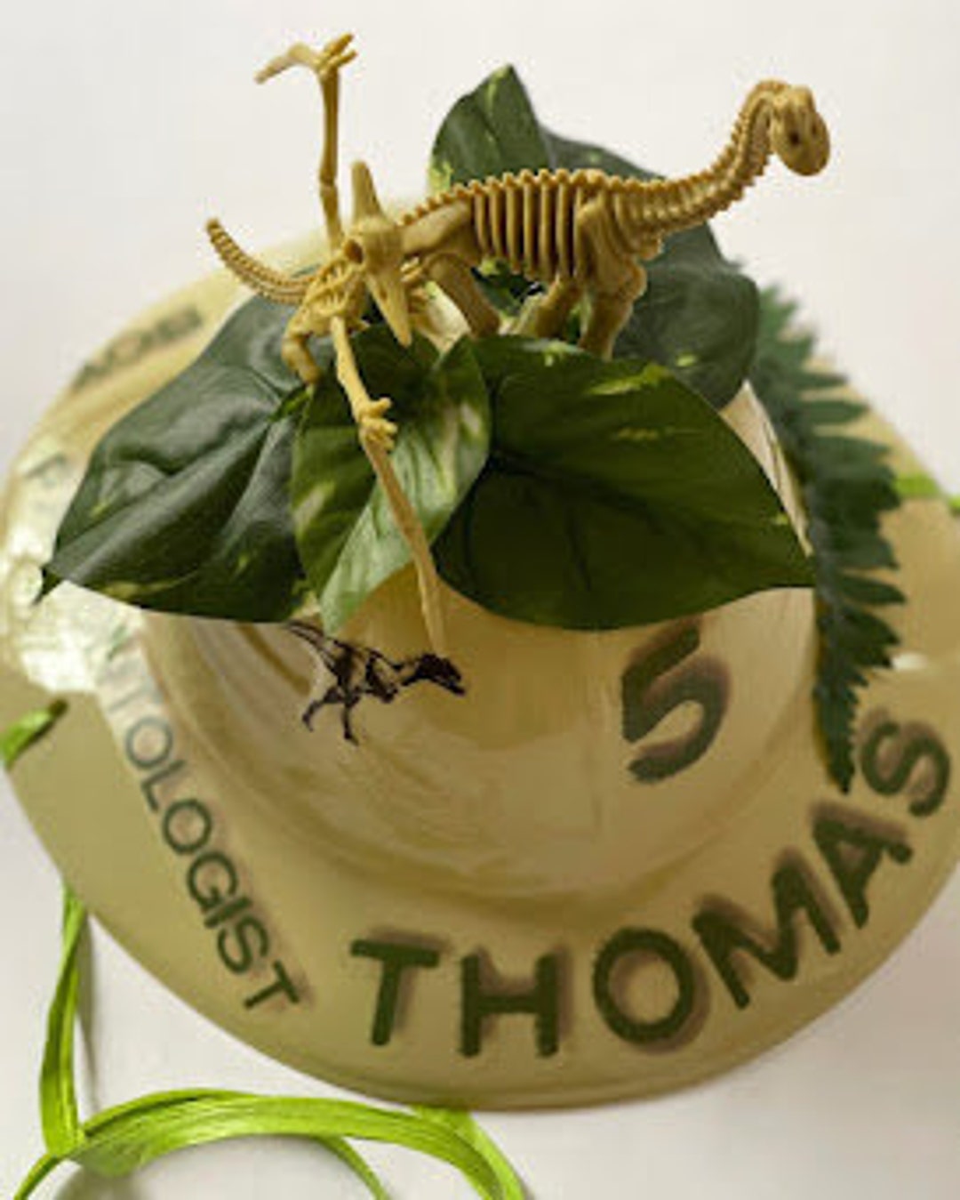 Dinosaur Birthday Hat, Personalized Party Dino Paleontologist Pith ...