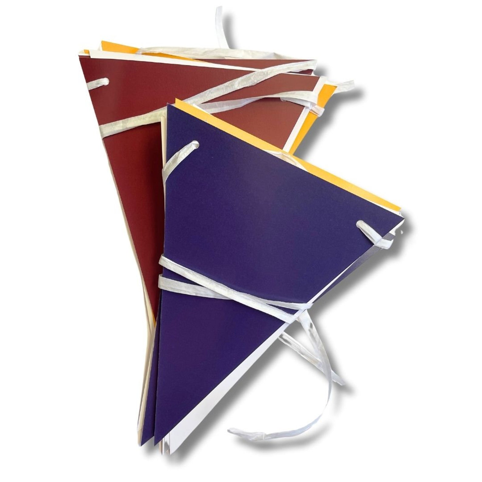 Signing Day Table Banner, 12 8x10 Alternating University Matching ...