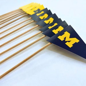 Dozen College Bound Flag Cupcake Toppers, Custom Pennant Graduation ...