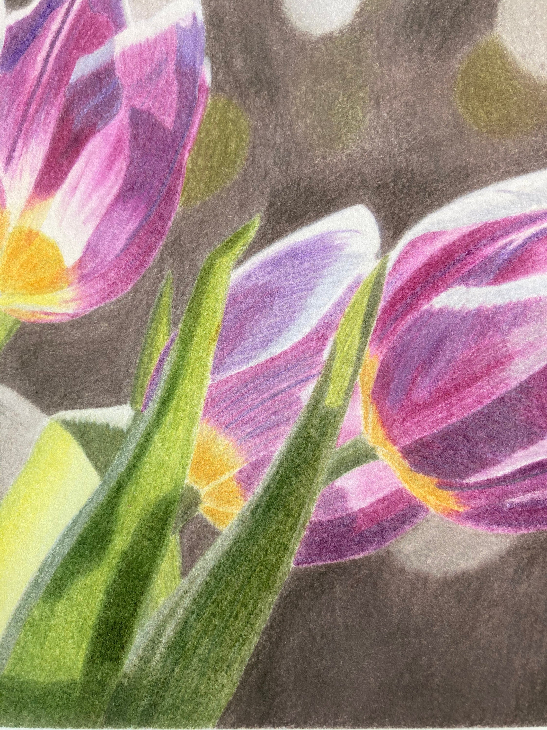 Purple Tulips Colored Pencil Drawing Print - Etsy