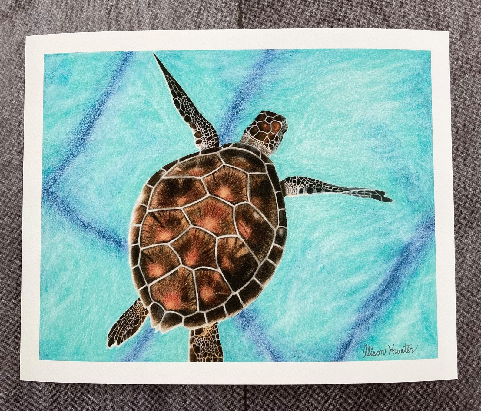 Sea Turtle Colored Pencil Drawing Print - Etsy
