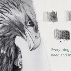 The Pencil Studio Procreate Brush Set | 34 Set of Brushes for Procreate ...