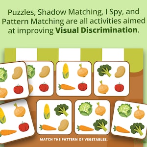 Toddler Busy Book - Visual Discrimination Module - Fruits and ...