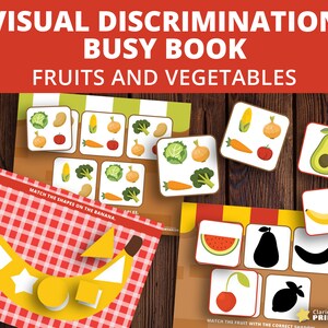 Toddler Busy Book - Visual Discrimination Module - Fruits and ...