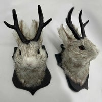 Jack Rabbit - Etsy