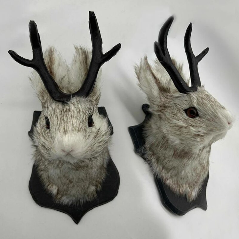 Rabbit With Antlers - Etsy
