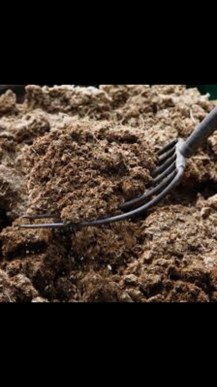 Composted Cow Patty Fertilizer/Manure — MARS Gardens