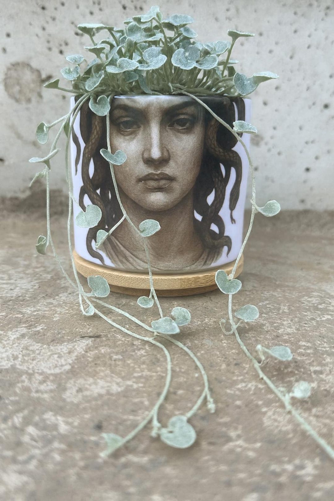 Medusa Head Planter Pot: Greek Mythology Ceramic Gothic Decor - Etsy