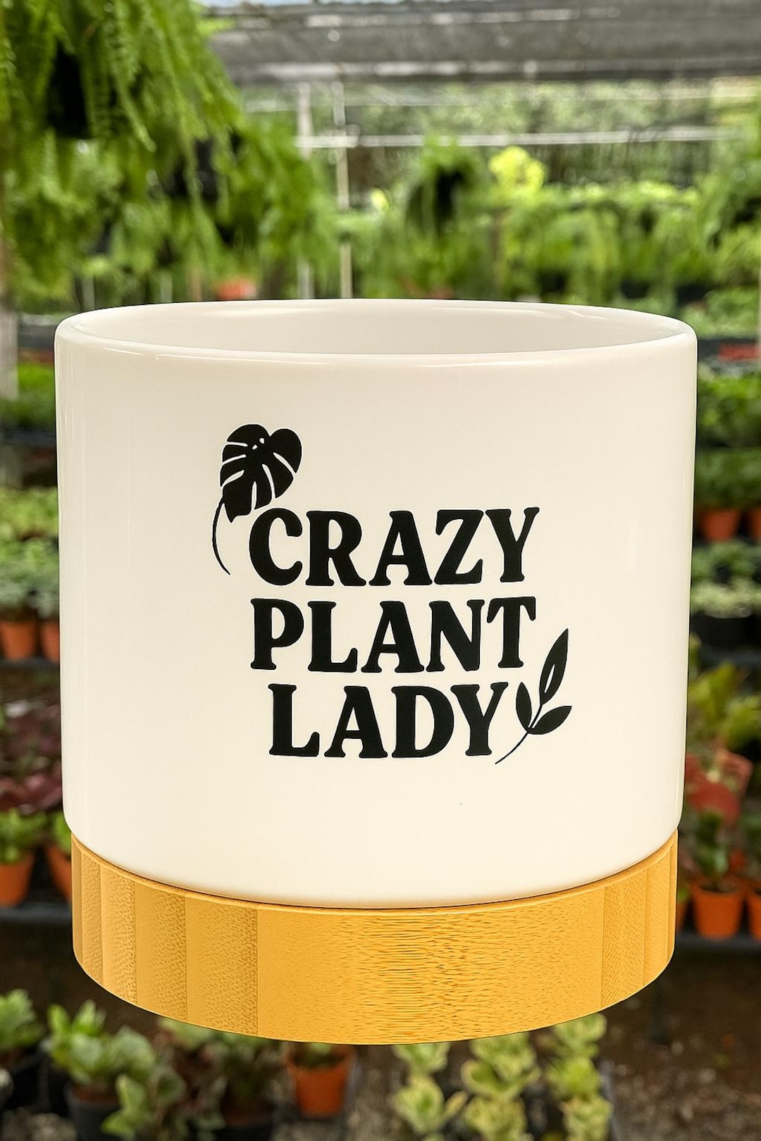 Crazy Plant Lady Planter | Ceramic Plant Pot With Bamboo Base - Etsy