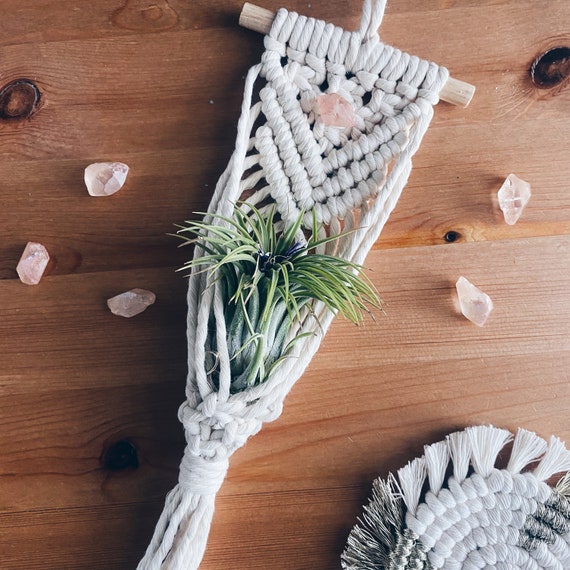 Air Plant Hanger Macrame Plant Hanger Macrame Air Plant - Etsy
