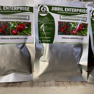 Red Roselle, Sour Tea, Red Zinger, Hibiscus Sabdariffa, 200 Seeds for 8 ...
