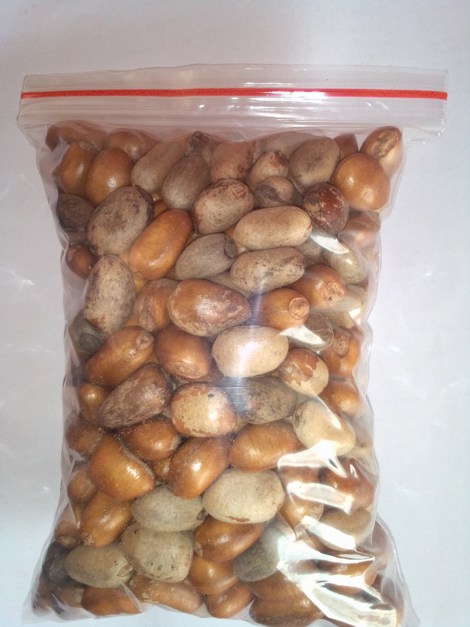 Calabash nutmegMonodora myristica packet of 200g cost 11 | Etsy