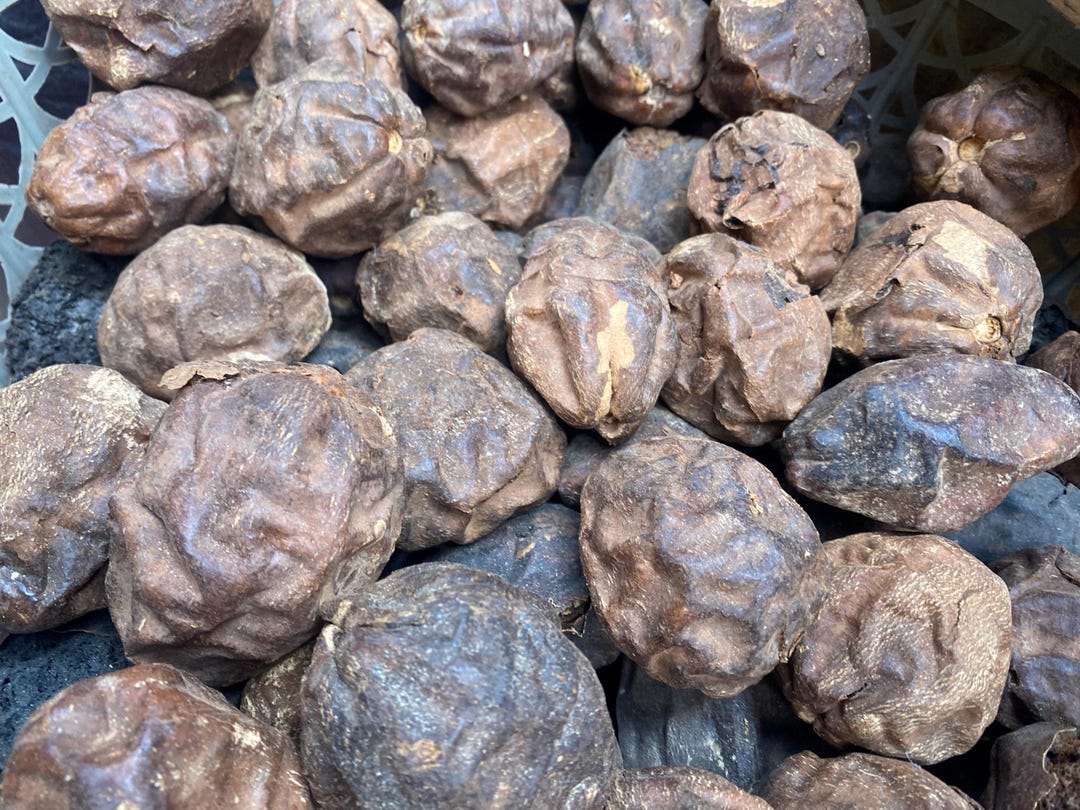 Odii Seed / Odiaba / Odiaba Seed Incense Candles, 3 Pods/10 USD ...