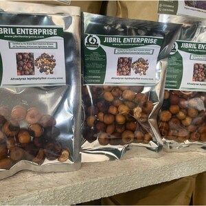 Country Onion, Afrostyrax Lepidophyllus, 50g/10 USD, Shipping is 10 USD ...