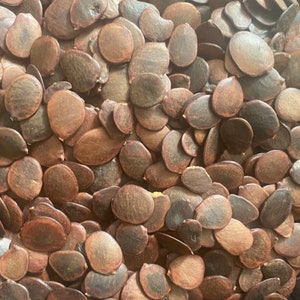 Achi, Brachystegia Eurycoma, 50g/6 USD, Shipping Cost is 10 USD, Phyto ...