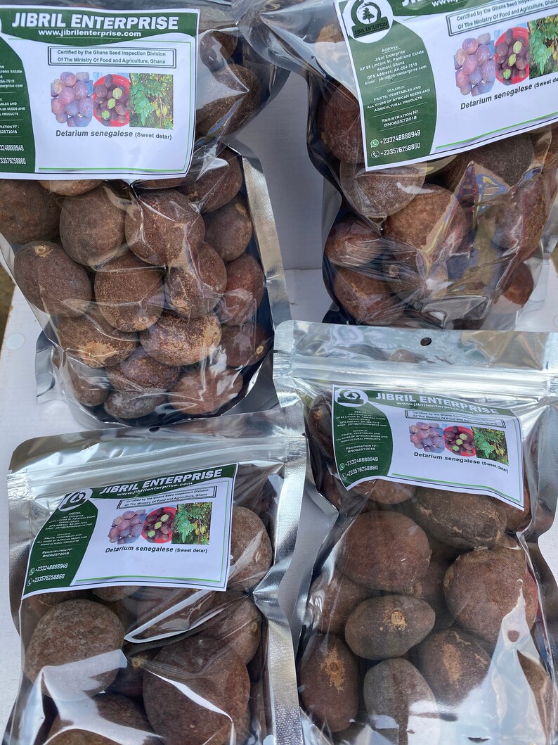 Fresh Dried Fruits of Detarium Senegalesesweet Detar | Etsy