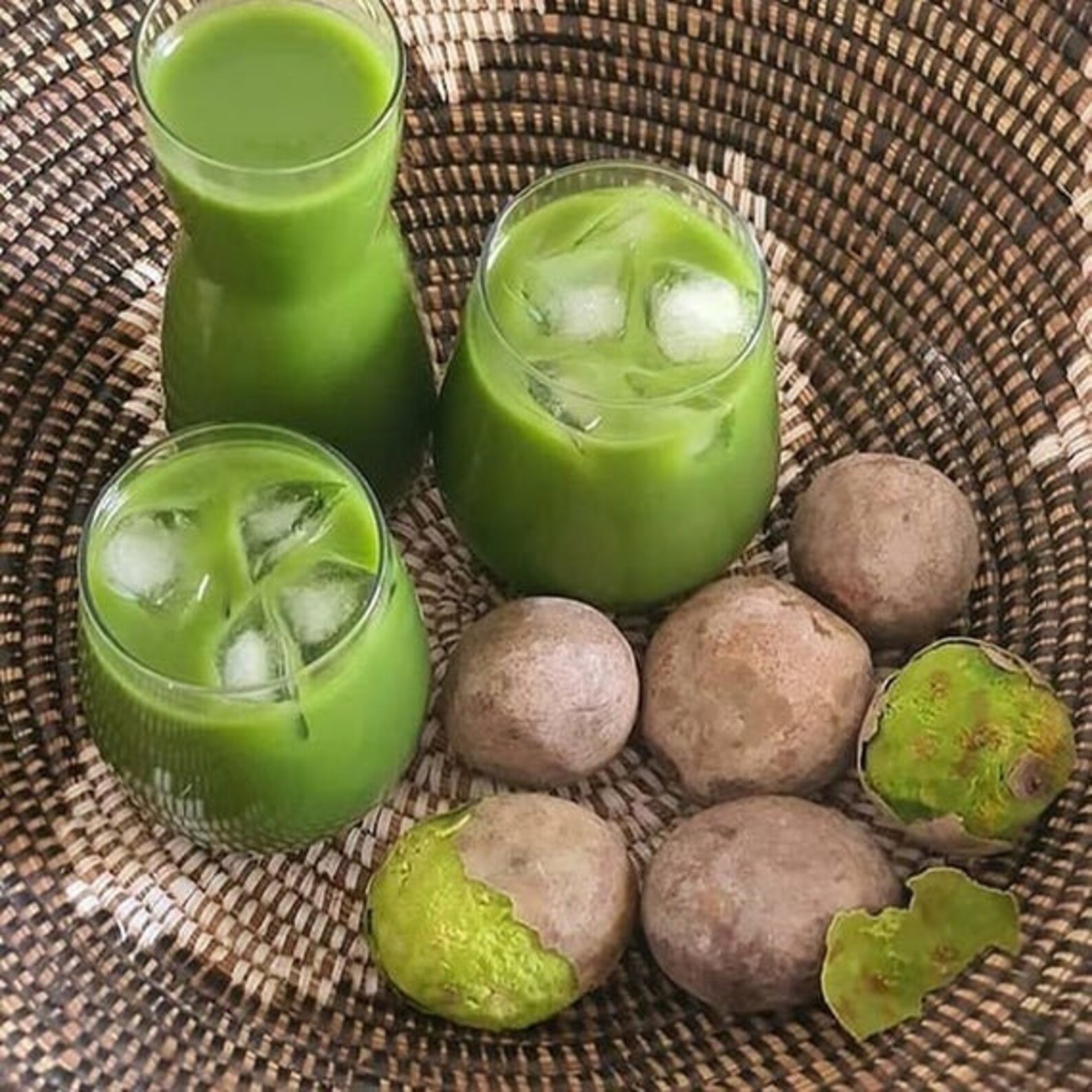 Detarium Senegalese sweet detar 15 seeds for 12 USD | Etsy