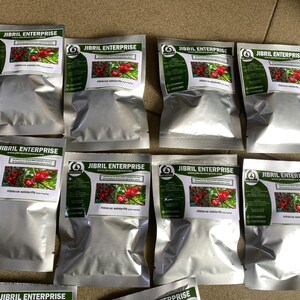 Red Roselle, Sour Tea, Red Zinger, Hibiscus Sabdariffa, 200 Seeds for 8 ...