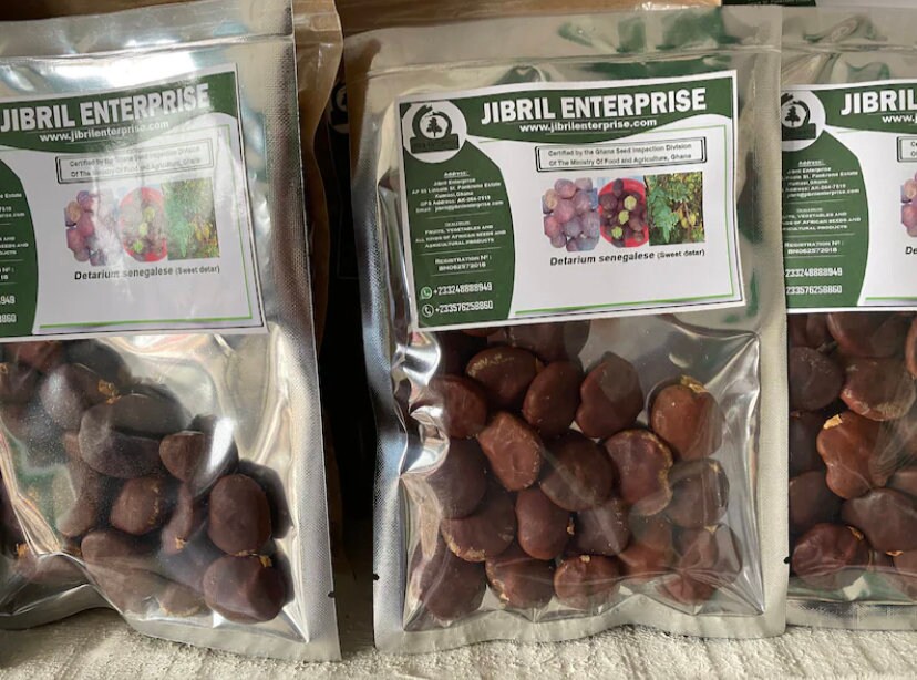 Detarium Senegalese sweet Detar 15 Seeds for 8 USD - Etsy Canada
