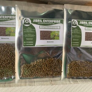 Senna Tora, 300 Seeds Cost is 12 USD, Shipping Cost is 10 USD, Phyto ...