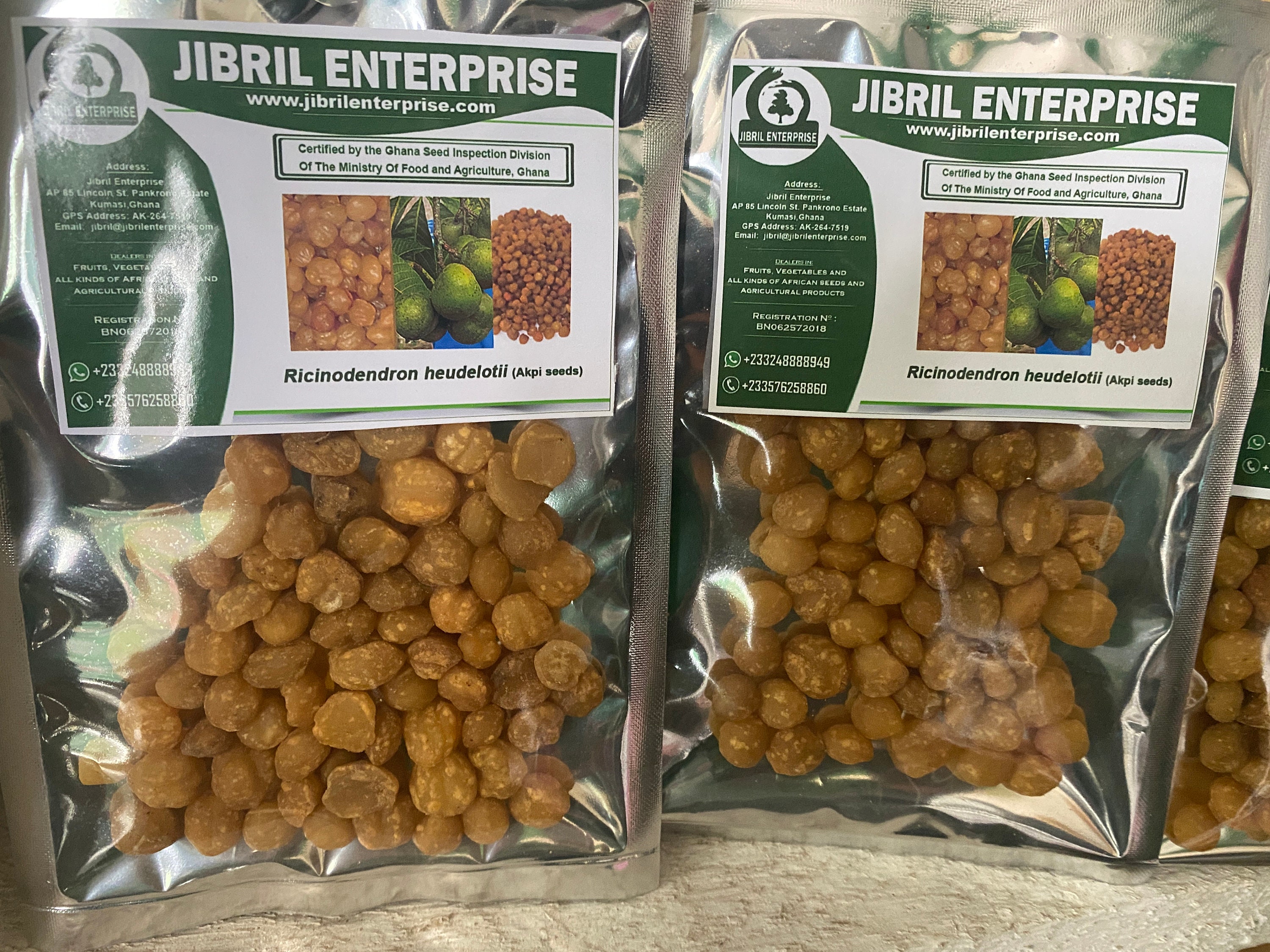 Akpi Ricinodendron Heudelotii 50g/10 USD Shipping Cost is - Etsy