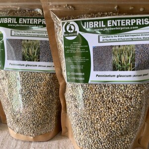 Ghanaian Pearl Millet Seeds, Non Hybrid, 200g for 11 USD, Shipping Cost ...