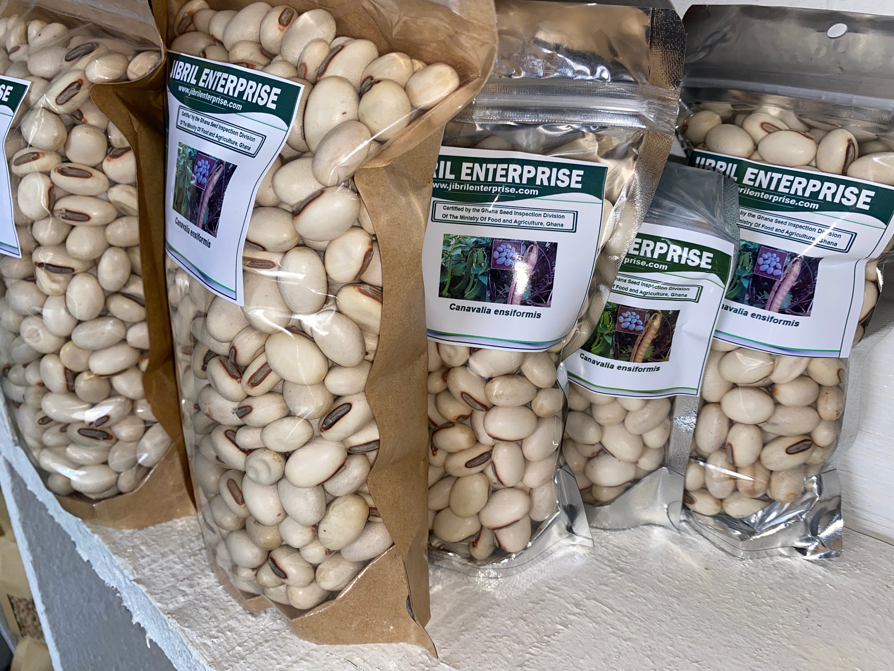 Canavalia Ensiformis Seeds