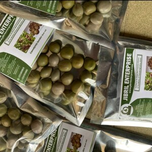 Caesalpinia Bonduc / Fevernut, 20 Seeds/8 USD, Shipping/10 USD, Phyto ...