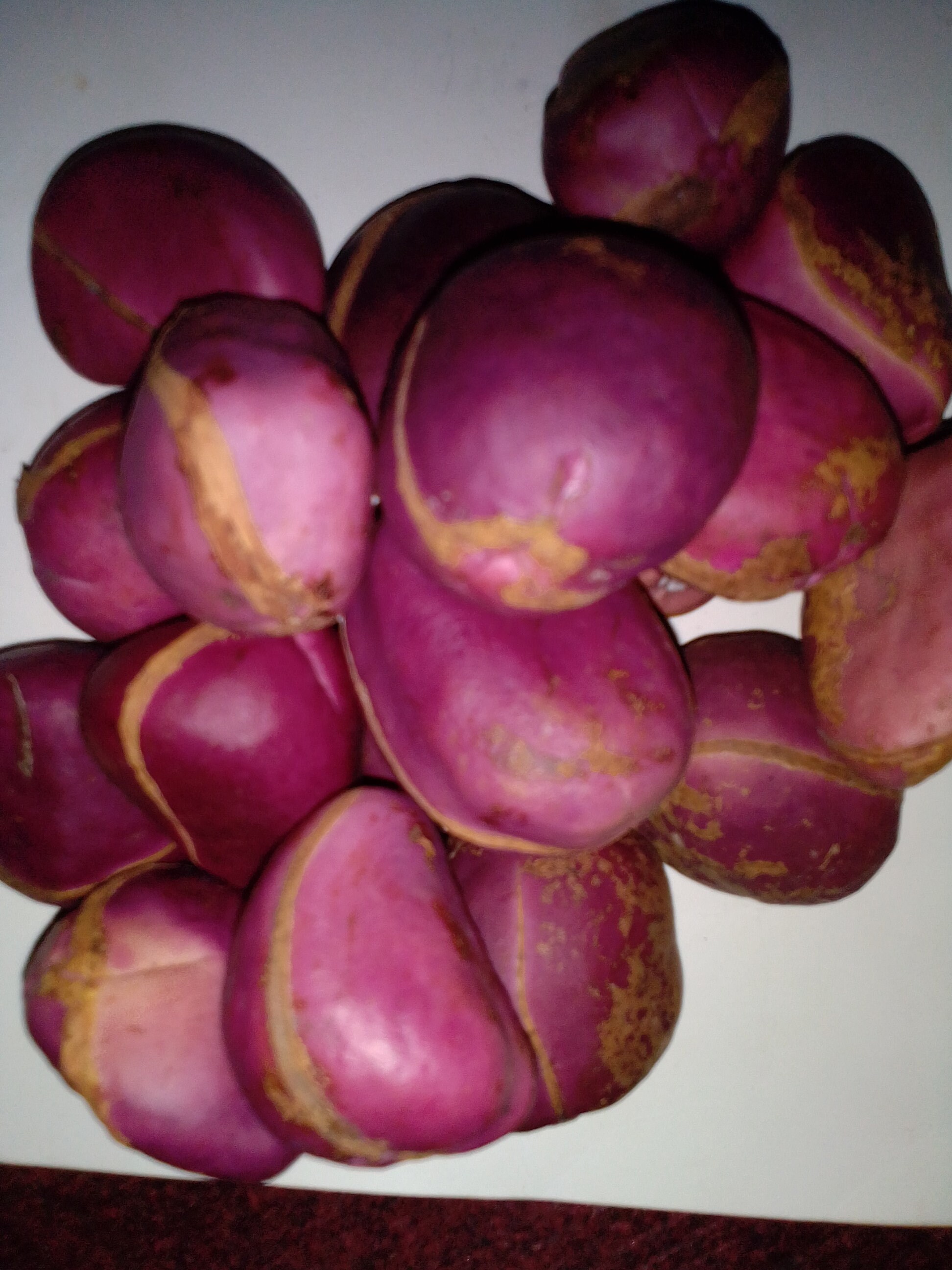 Red Cola Nut Rubracola Nitida 300g Nuts Cost11 USD - Etsy