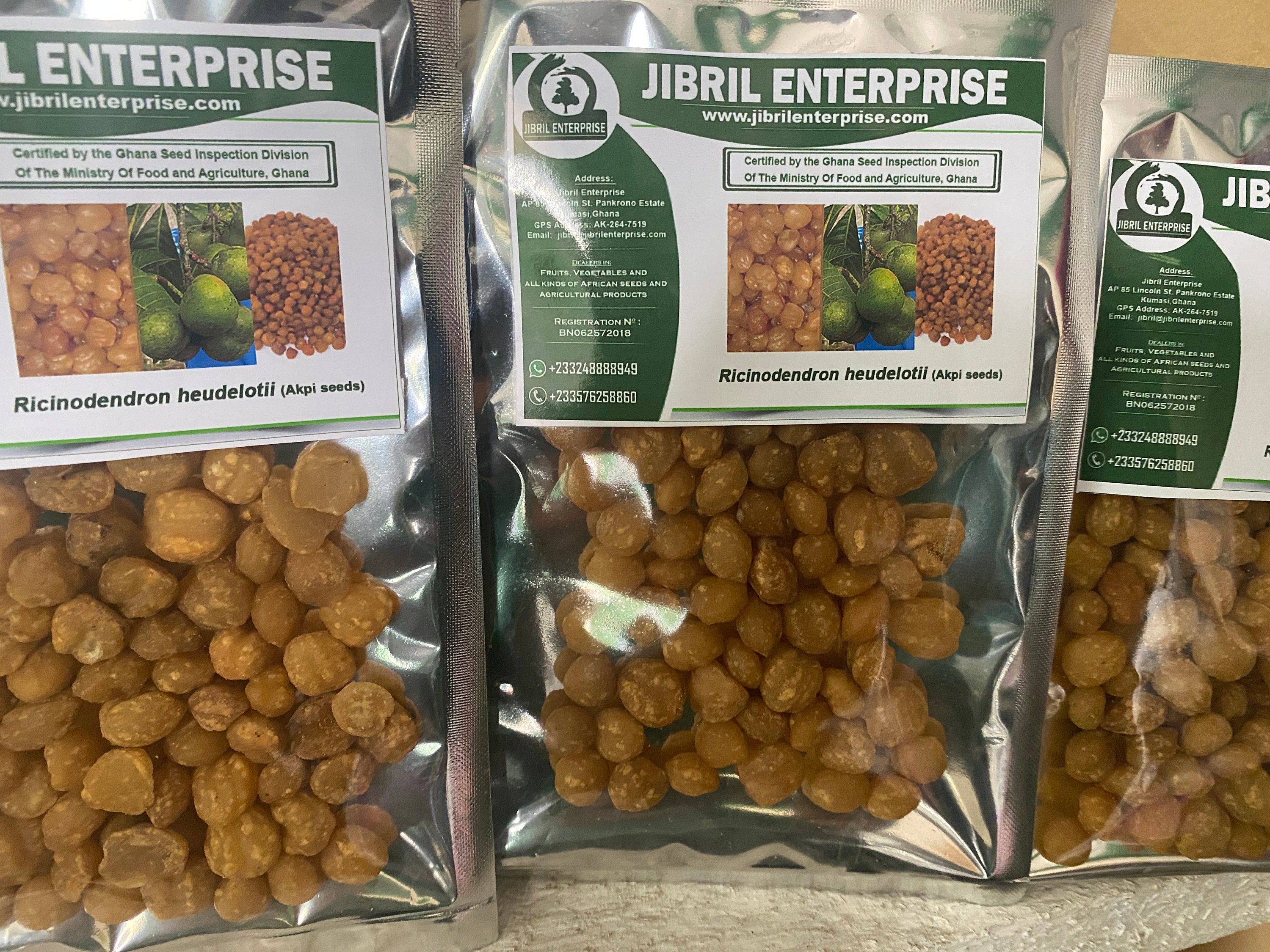 Akpi Ricinodendron Heudelotii 50g/10 USD Shipping Cost is - Etsy