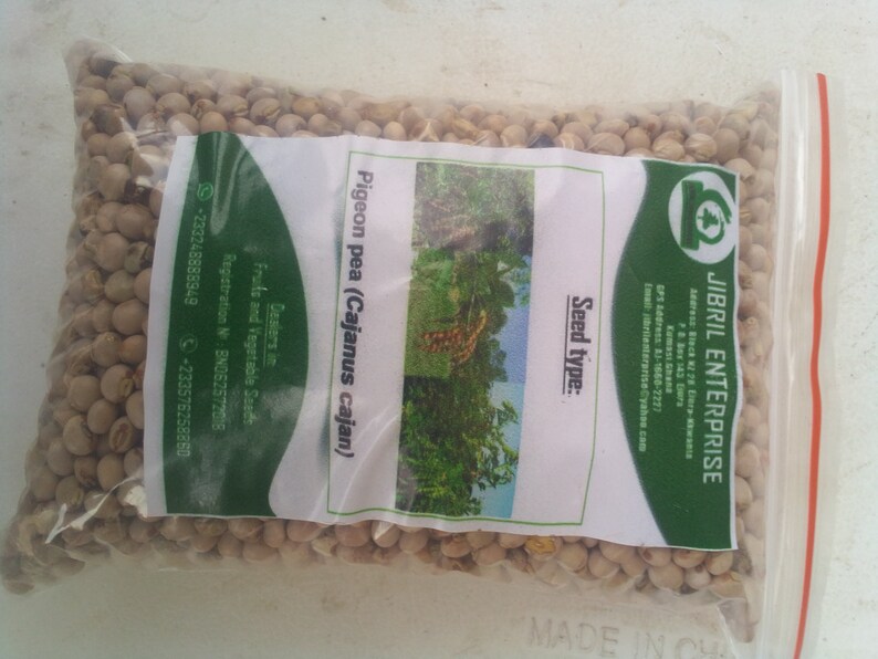 Pigeon pea cajanus cajan seeds for sale 100g/11 USD | Etsy