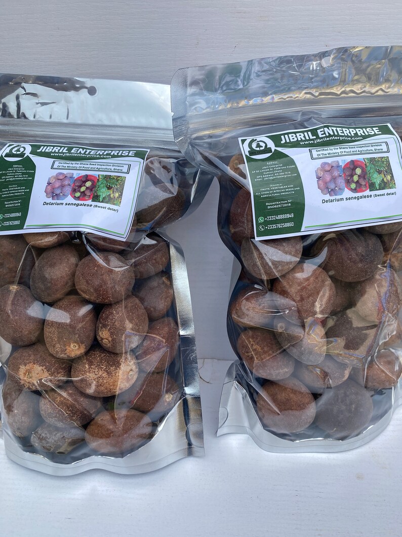 Fresh Dried Fruits of Detarium Senegalesesweet Detar | Etsy