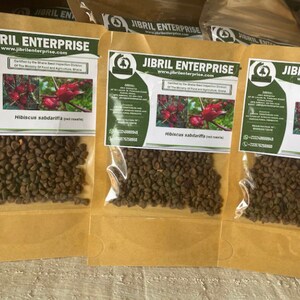 Red Roselle, Sour Tea, Red Zinger, Hibiscus Sabdariffa, 200 Seeds for 8 ...